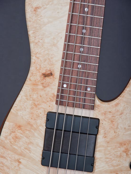 Fodera Introduces Matt Garrison Standard Bass – No Treble