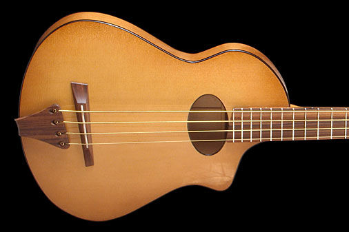 Veillette Introduces Flyer Acoustic-Electric Bass – No Treble