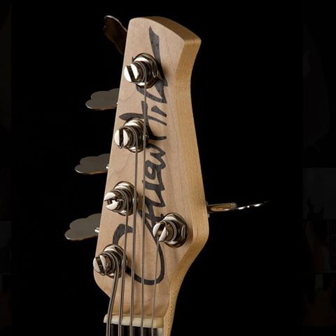In Memoriam: Remembering the Bassists We Lost in 2016 – No Treble