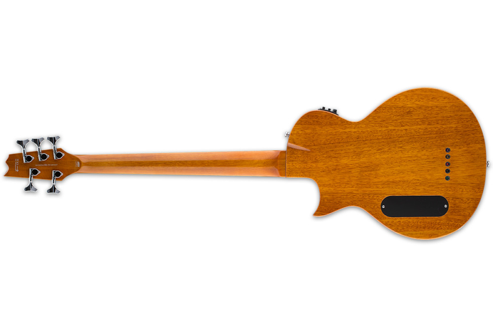 ESP Adds Fretless and 5-String Basses to LTD Thinline Series – No Treble