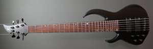 Bass of the Week: Marc Chicoine Dominic “Forest” Lapointe 6-String Bass ...