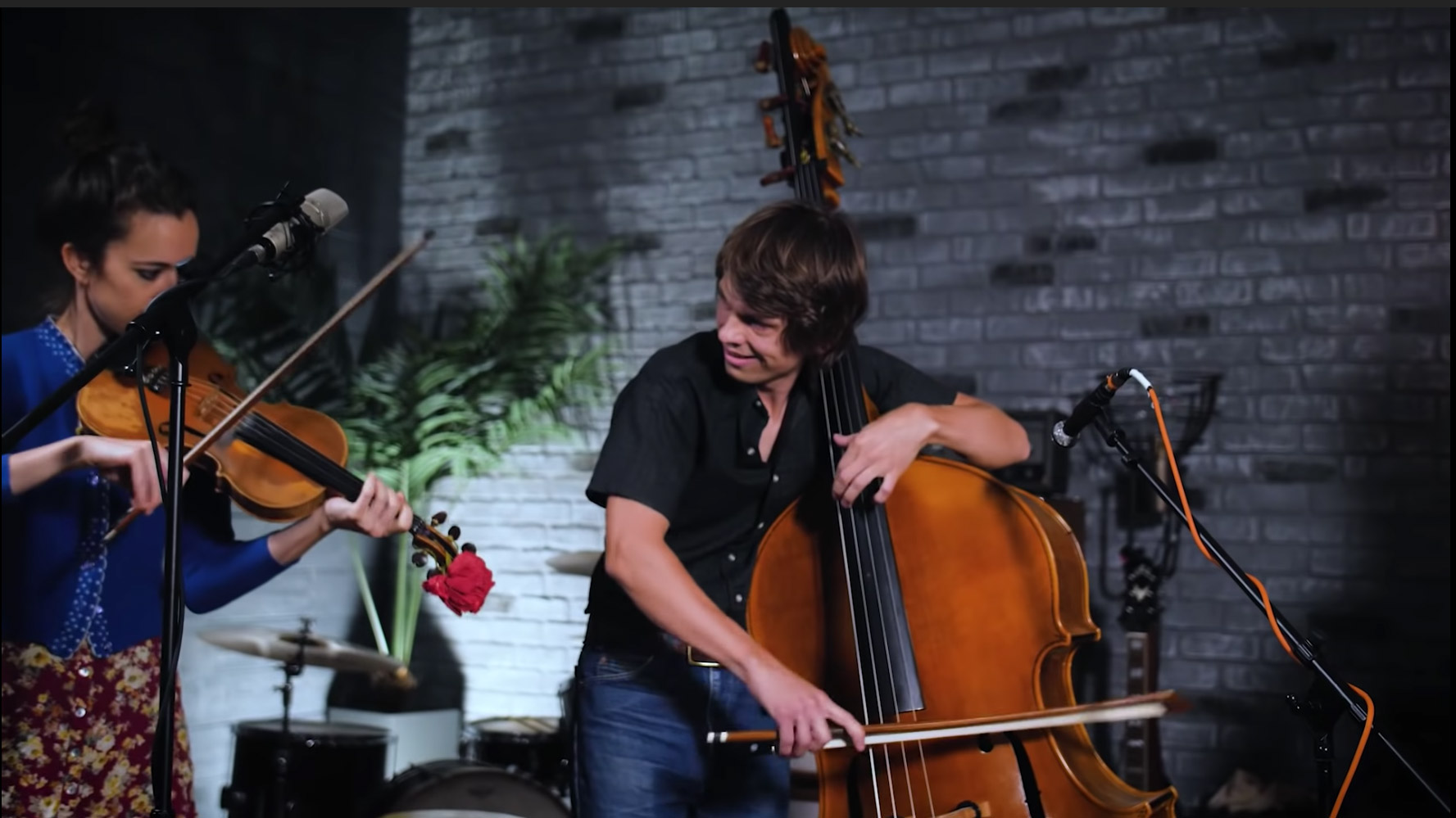 Hawktail: Live at Reverb Sessions – No Treble