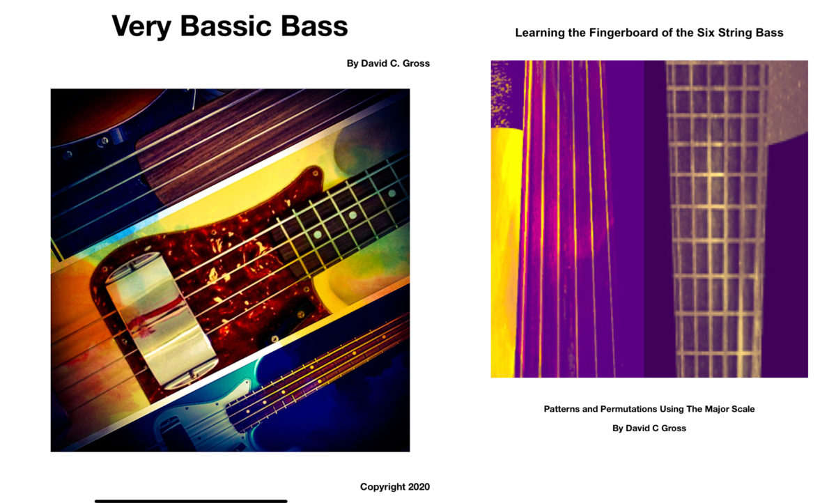 David Gross Publishes Two New Bass Books – No Treble