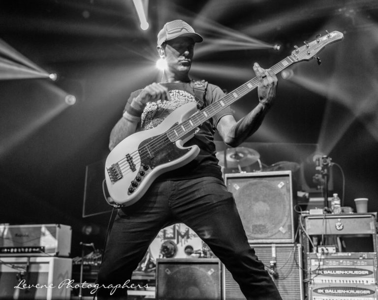 A Raging Bull: An Interview with Ryan Stasik – No Treble
