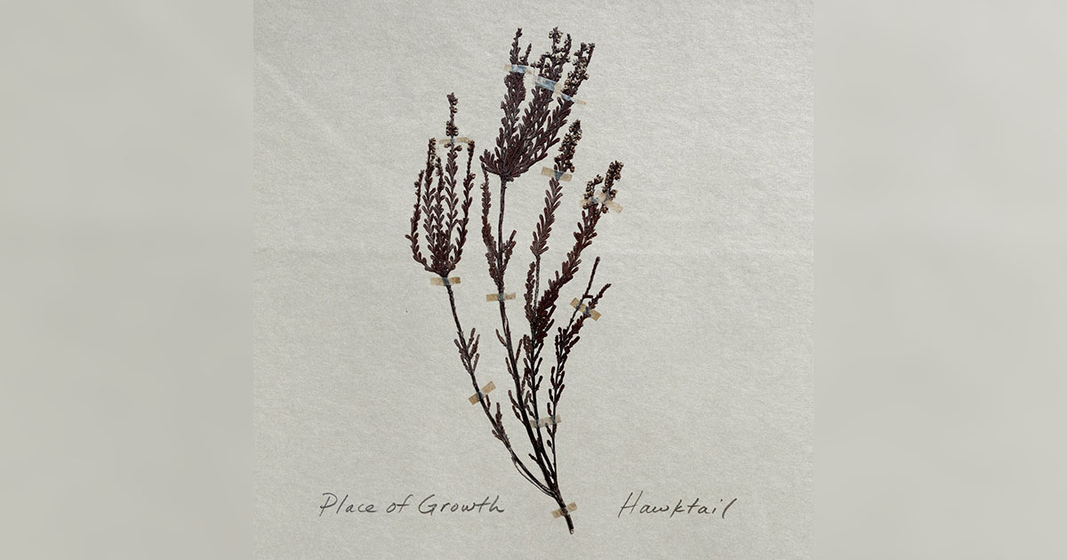 Hawktail Releases “Place of Growth” – No Treble