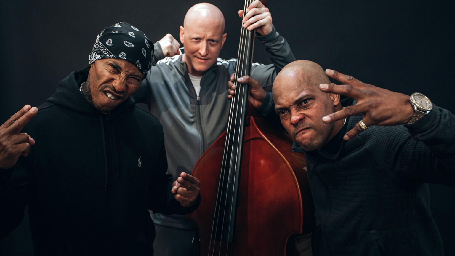 Bass & Bars: An Interview with Brady Watt – No Treble