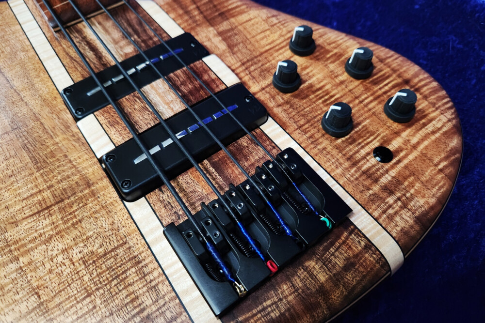 Bass of the Week: Drake Bass Custom Fretless 4-String – No Treble